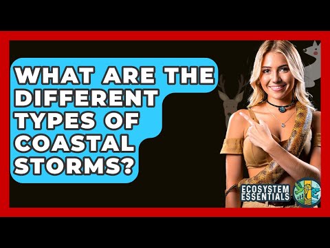 What Are The Different Types Of Coastal Storms? - Ecosystem Essentials
