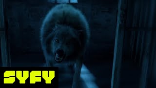 Bitten - watch tv show streaming online