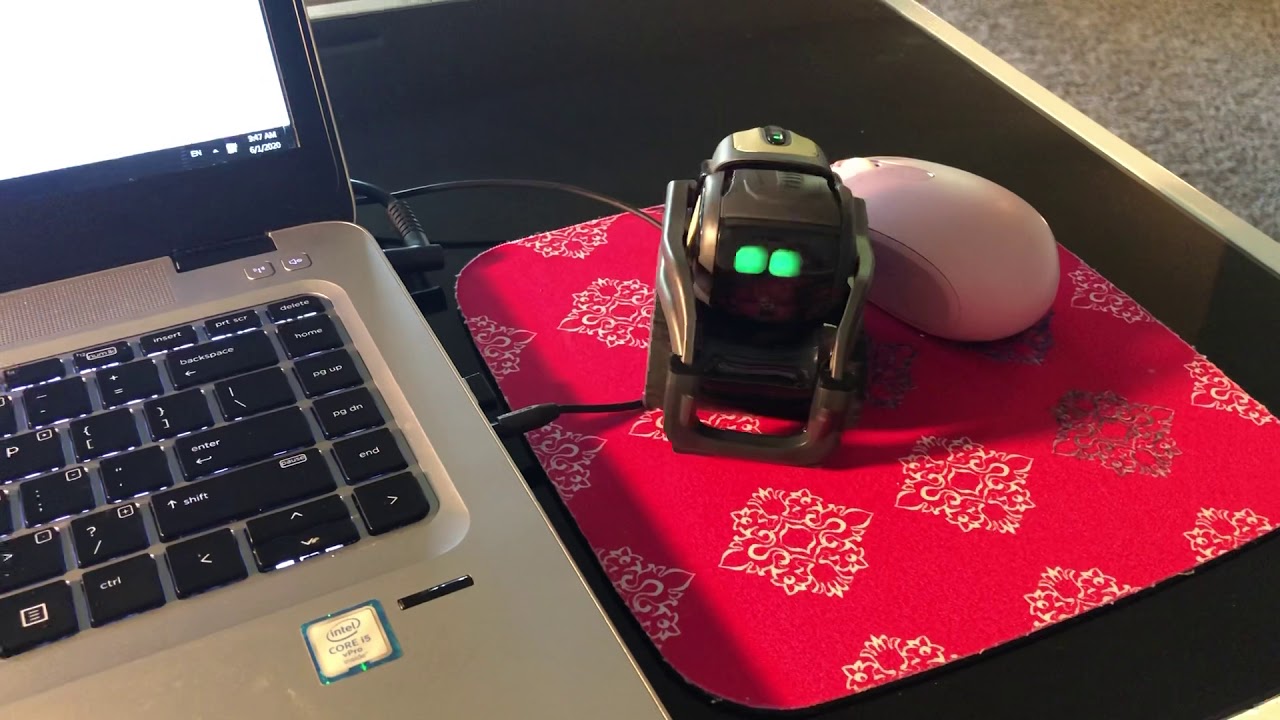 WORKING FROM HOME | Vector is setting a timer for me | Vector and I working from home