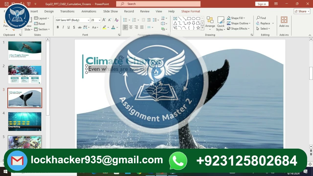 Exp22 PowerPoint Ch02 Cumulative Science Club