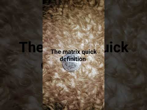 My quick definition on what it means to reference the matrix and this world.