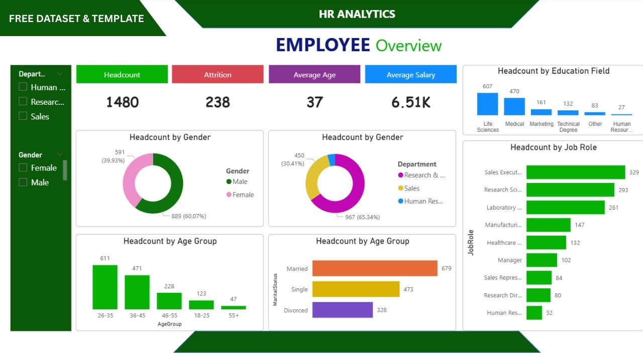 Power BI Project: HR Analytics Power BI Dashboard tutorial for Beginner