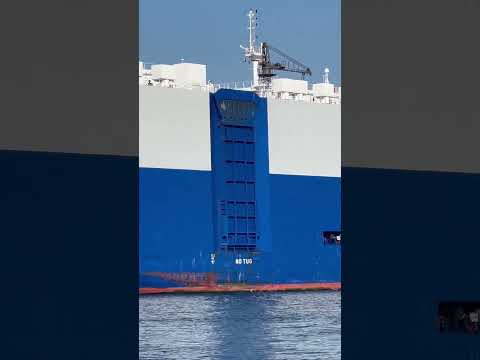 RoRo