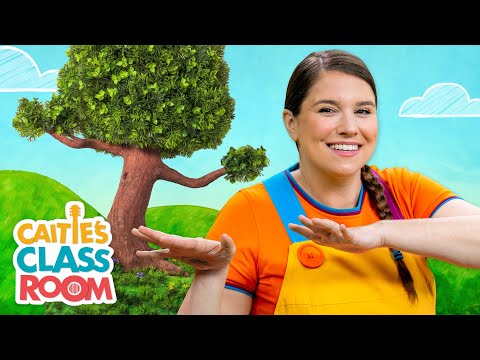 And The Green Grass Grew | Songs from Caitie's Classroom