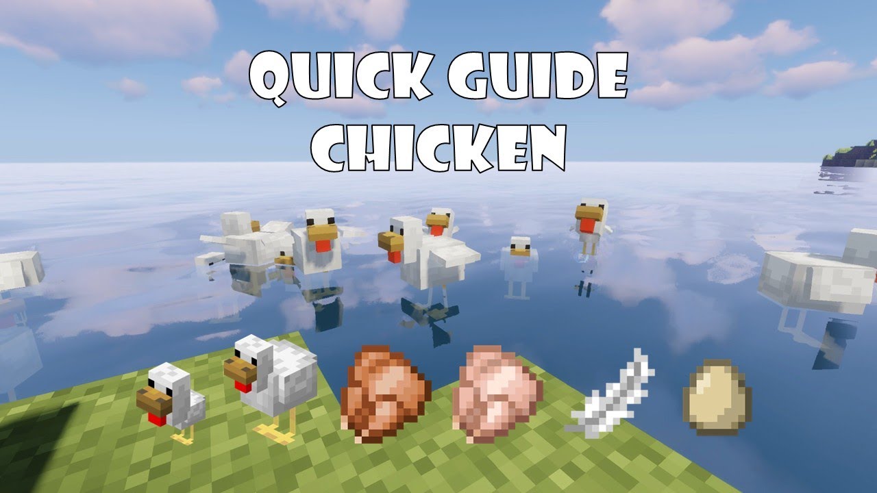 Chickens Quick Guide for Minecraft