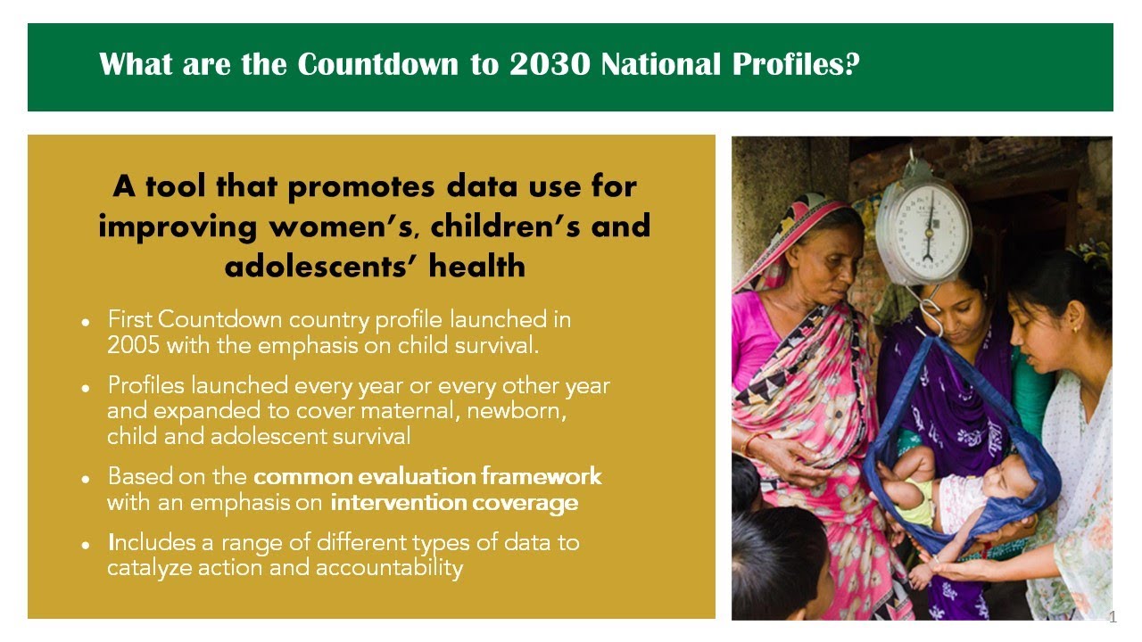 Countdown to 2030 RMNCAH Country Profile