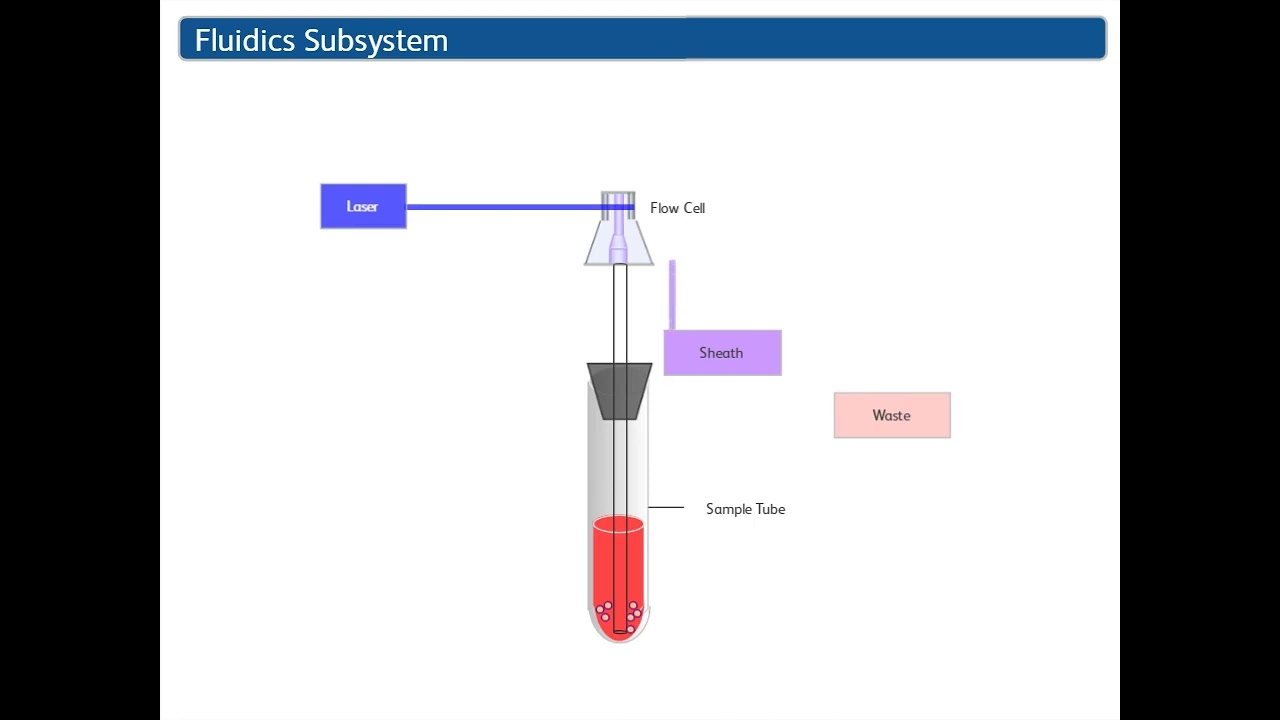 Intro to Flow Cytometry