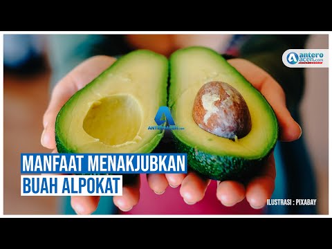Video : Manfaat Menakjubkan Buah Alpokat