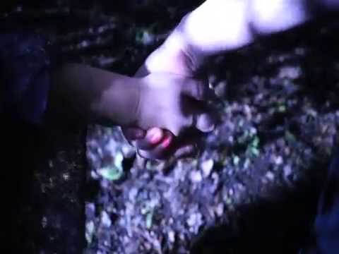ALICE- Trailer