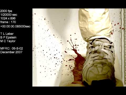 Impact-stomp into blood on a tape covered sponge | Blood Spatter Analysis