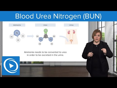 Blood Urea Nitrogen (BUN) โ Med-Surg | Lecturio Nursing