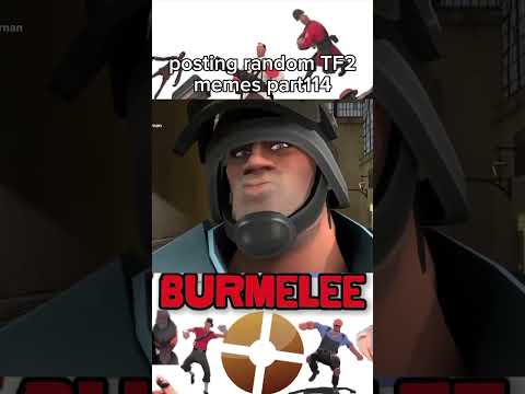 (posting TF2 memes) #teamfortress2 #tf2soldier #tf2engineer (video from @KiegKillsReality)