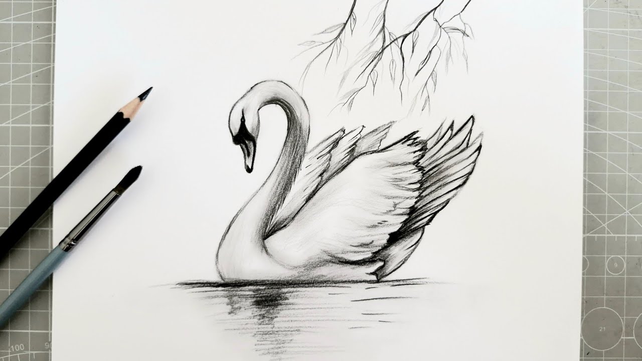 Realistic Swan Drawing | Easy Step-by-Step Pencil Drawing Tutorial