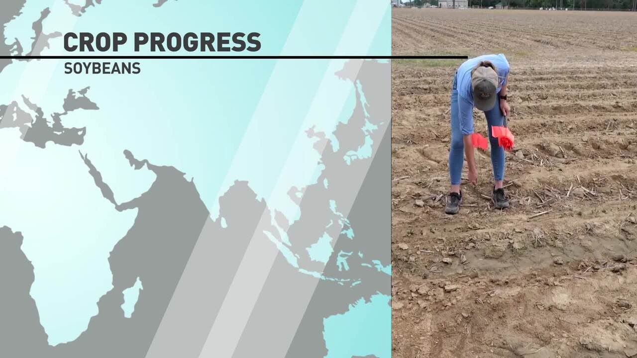 Crop Progress: Still Ahead in the Field