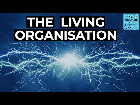Characteristics of organisational culture (The Living Organisation)