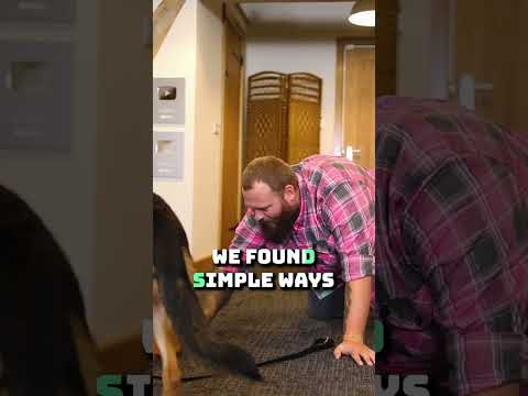 How To Stop Puppy Biting
