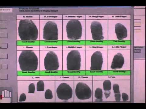 3M Cogent Fingerprint Scanner - Latest Price, Dealers & Retailers in India