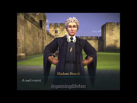 Quidditch ground – Gaming Life Hogwarts Mystery