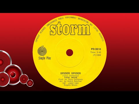 Spider Spider – Tidal Wave | 1001 South African Songs You Must Hear ...