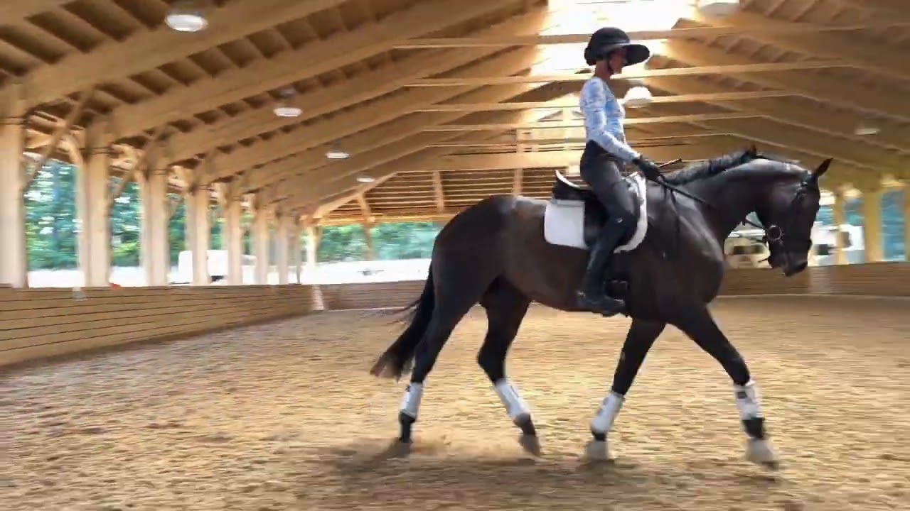 USDF INTRO C - ride thru