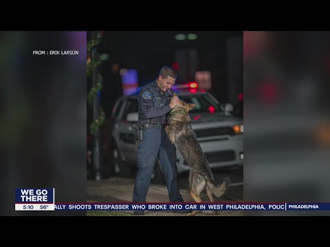 Procession leads beloved Hatboro K9 officer from rehab to hospice after reaction to bee sting