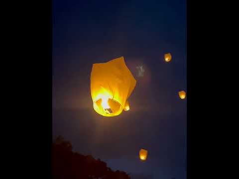 2023 Lights Fest