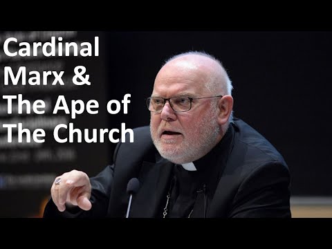Cardinal Marx and the Ape of the Church – RETURN TO TRADITION