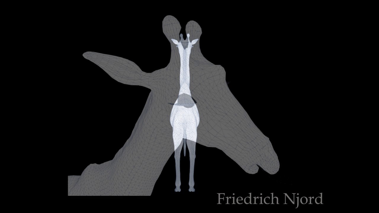 Giraffe 3D  (Rothschild's) - Rigged