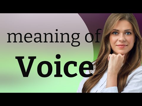 Voice | meaning of VOICE