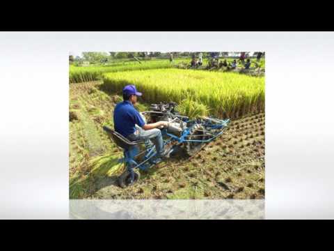 Reaper Binder at Best Price in India