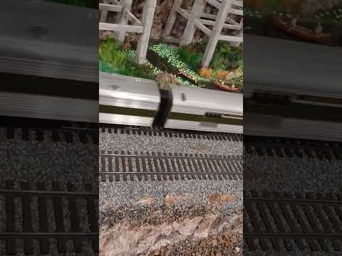 O Scale Central Ontario Steam pulling a short passenger train