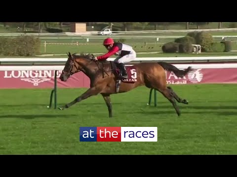 Smart horse! POKER FACE wins the Group 2 Prix Daniel Wildenstein in Paris!