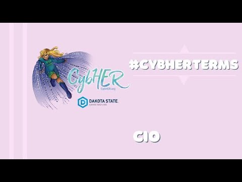 What is a CIO