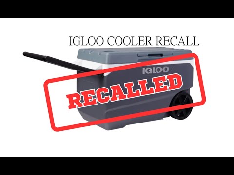 Igloo Cooler Recall What you need to know