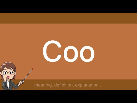 Coo