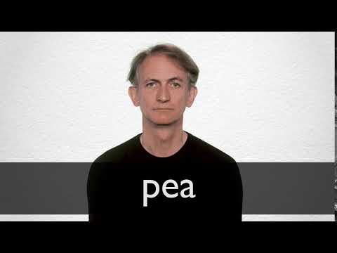 PEA definition in American English | Collins English Dictionary