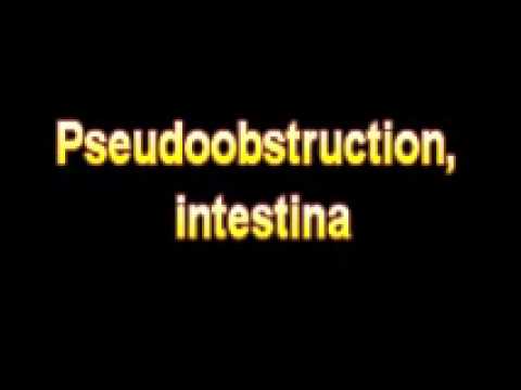 What Is The Definition Of Pseudoobstruction, intestina Medical School Terminology Dictionary