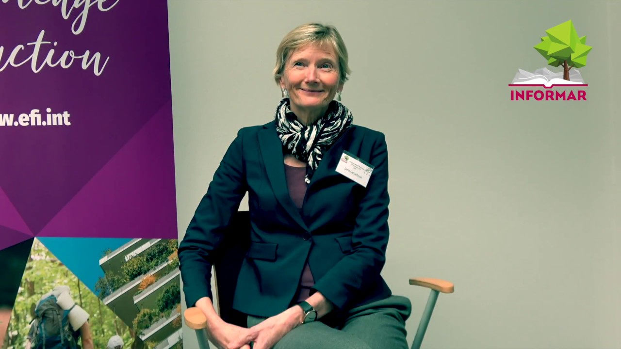 Perspectives on Integrated Forest Management