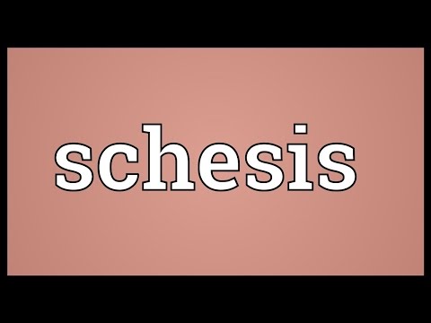Schesis Meaning