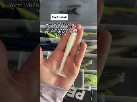 Fishing 101: Essential Terms Every Beginner Needs to Know!