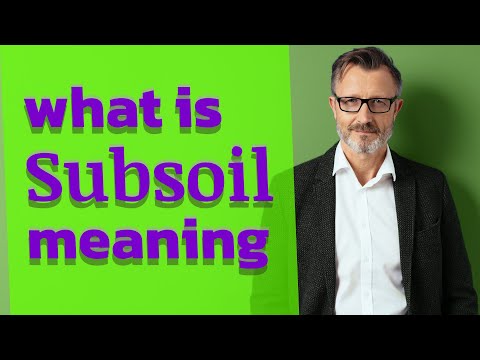 Subsoil | Meaning of subsoil 📖
