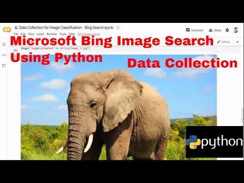 Data Collection for Image Classification using Python - Microsoft Bing Search