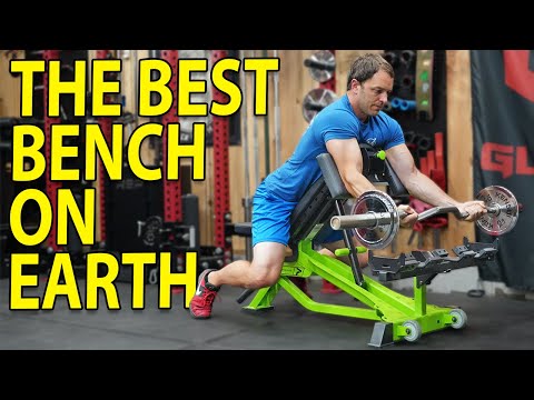 The Ultimate Adjustable Bench! Prime Shorty Bench Review