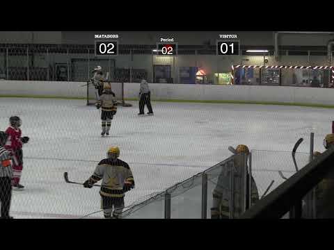 CSUN Ice Hockey vs Cal State Long Beach
