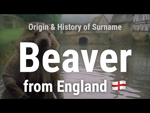 Beaver from England 🏴 - Meaning, Origin, History & Migration Routes of Surname