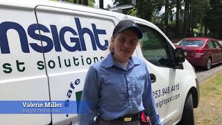 3 Best Pest Control Companies in Seattle, WA - Expert Recommendations
