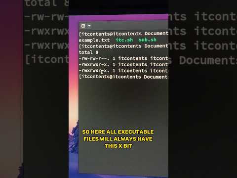 How to Check if a file is executable in linux