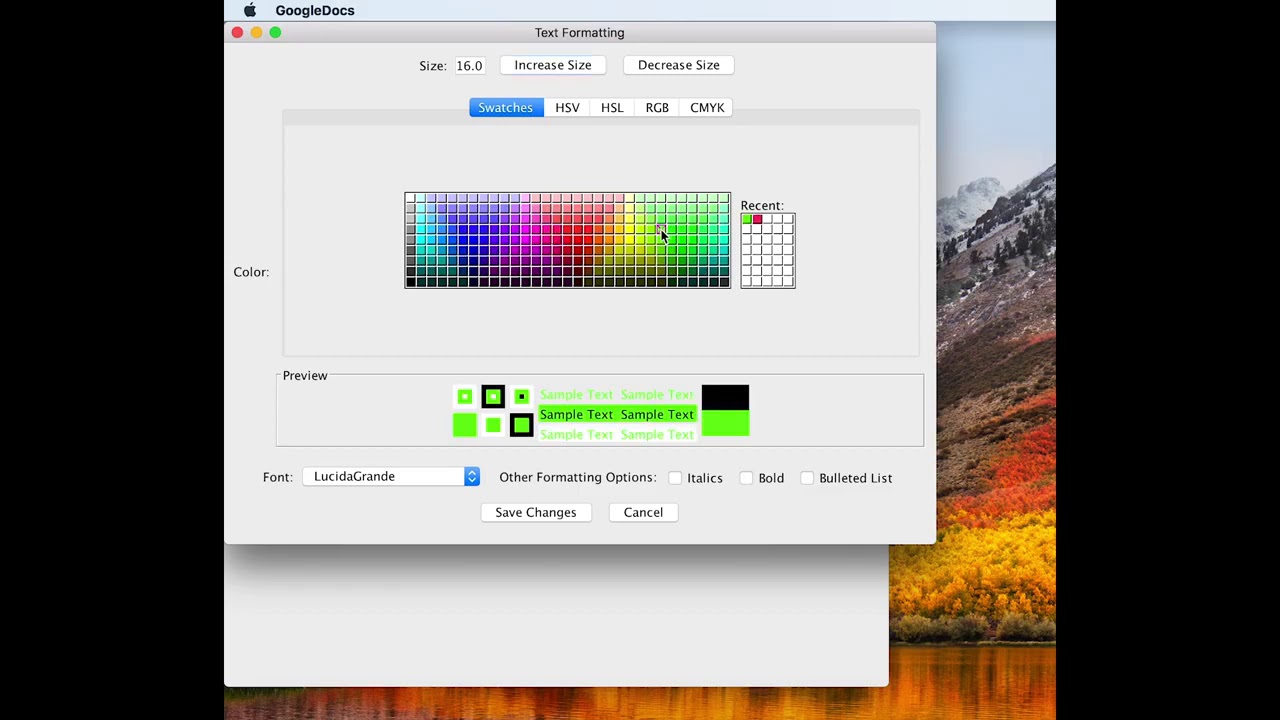 Google Docs Java Program