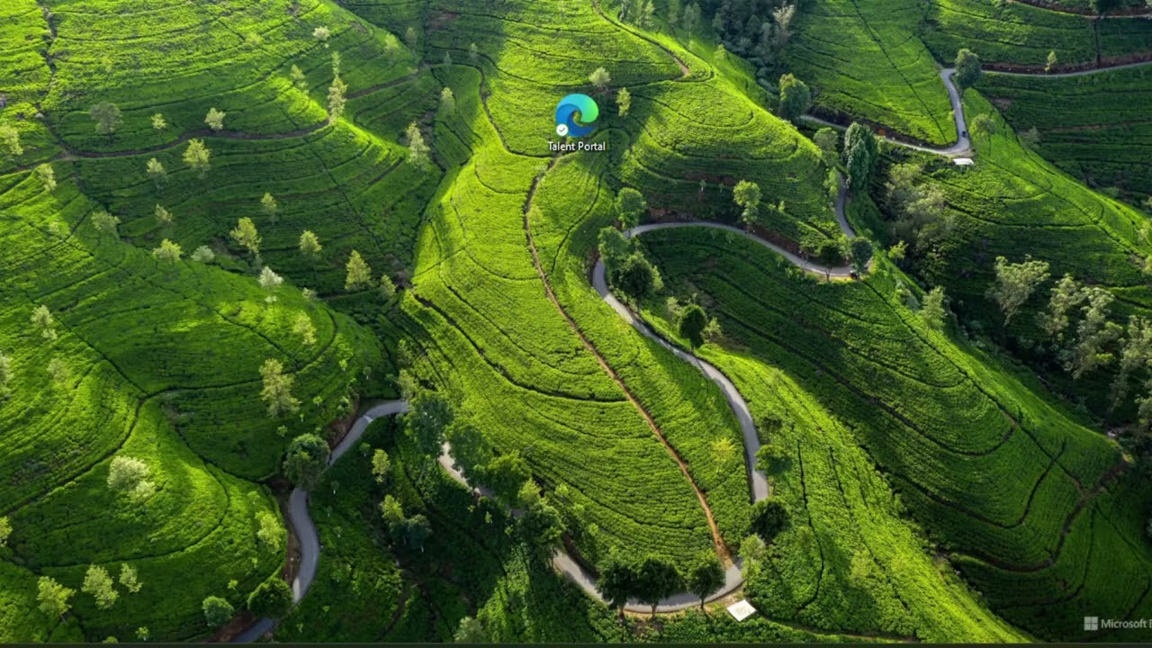 Auth0 Refresh Token Investigation