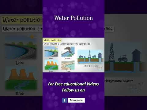 What is Water Pollution? | Sources of Water Pollution | Environmental Science | Science #shorts